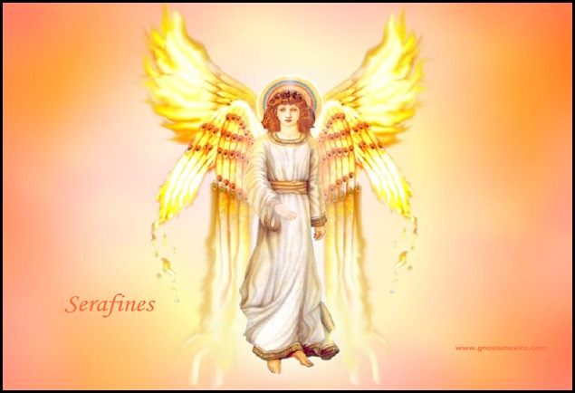 Angeles en Los Tejados: ¿Qué significa ser un ángel?